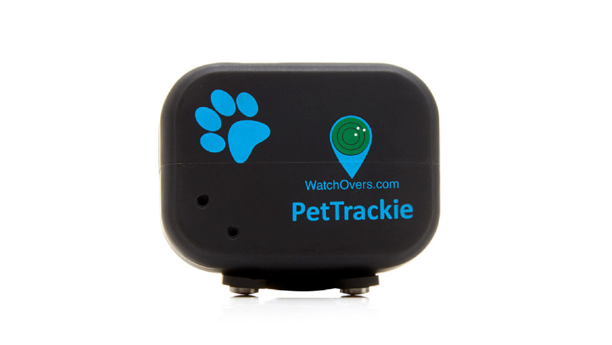 Choosing the Right GPS Dog Tracker for Your Pet | WatchOvers